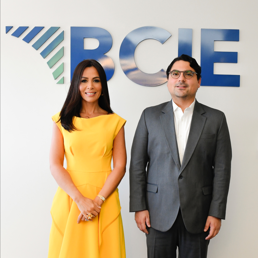 A "Sustainable Construction Guide" with a look to the future | El ...