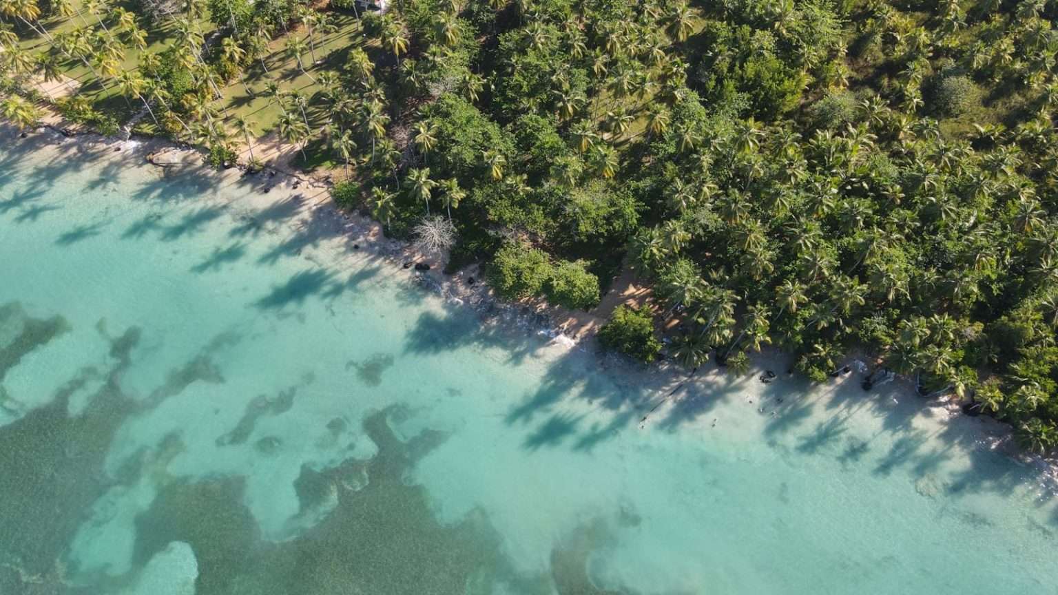 Noval Properties reaffirms its commitment to the real estate ...