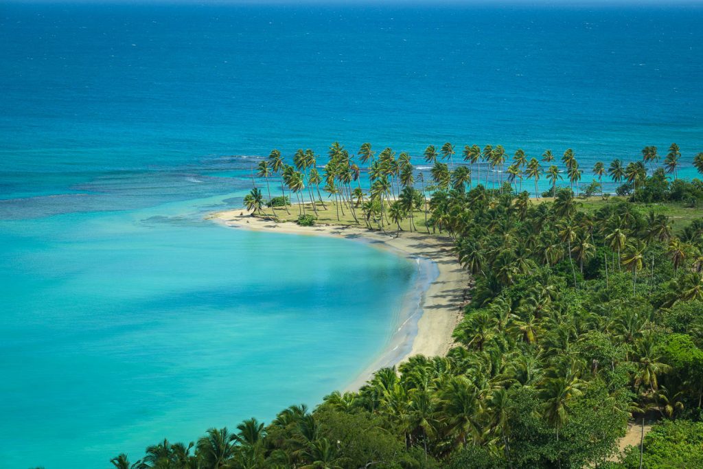 Tropicalia prezante 14yèm rapò dirabilite li a | El Inmobiliario